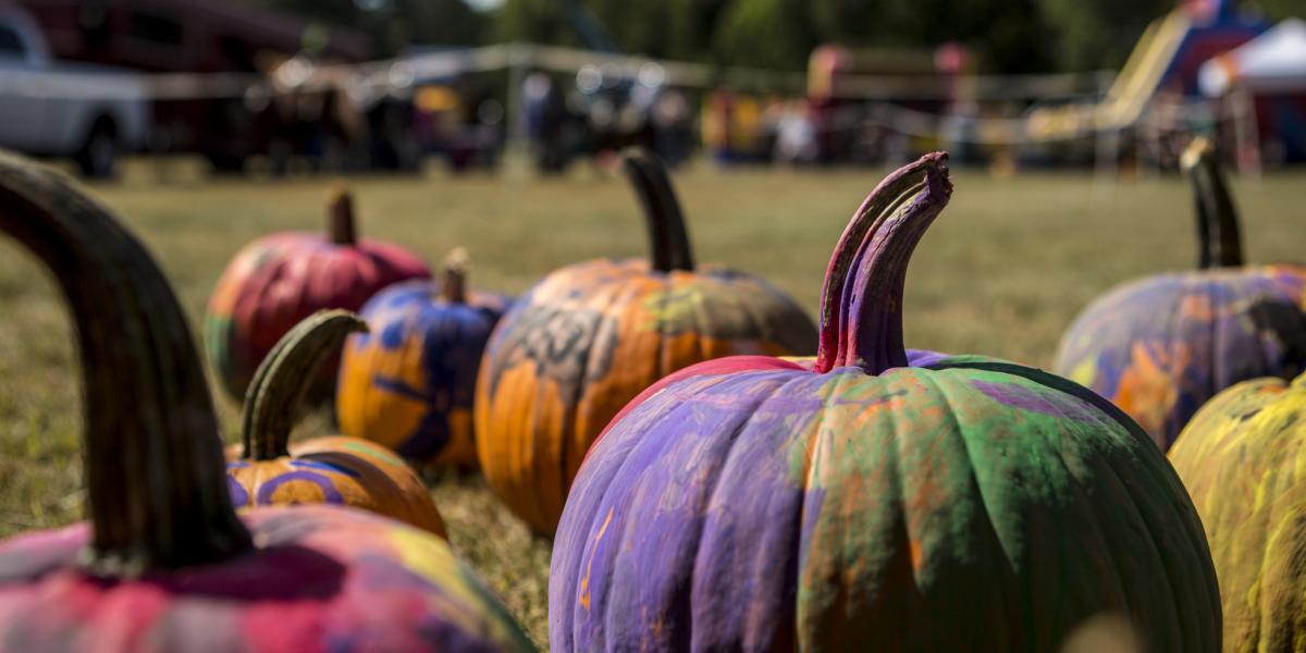 Seeking Vendors for Festival of Colors | Whiteface Region