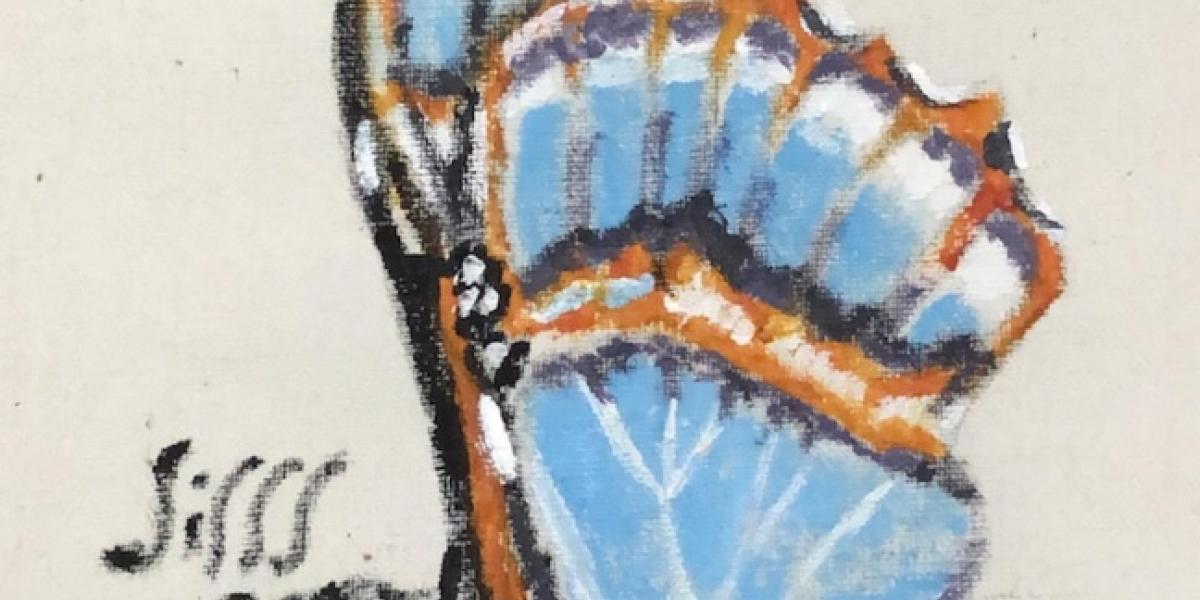Jill Joyce Art Showing | Whiteface Region