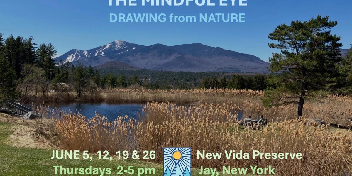 Drawing from Nature - The Mindful Eye Drawing Series | Whiteface Region