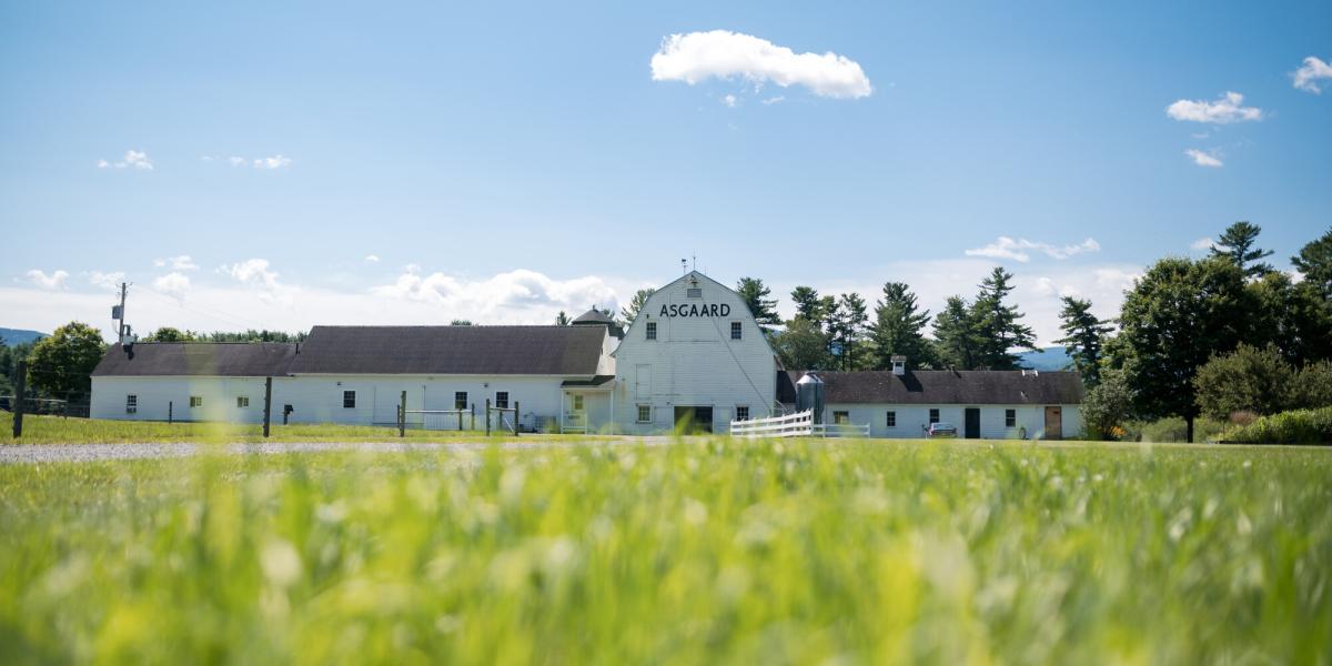 Asgaard Farm | Whiteface Region