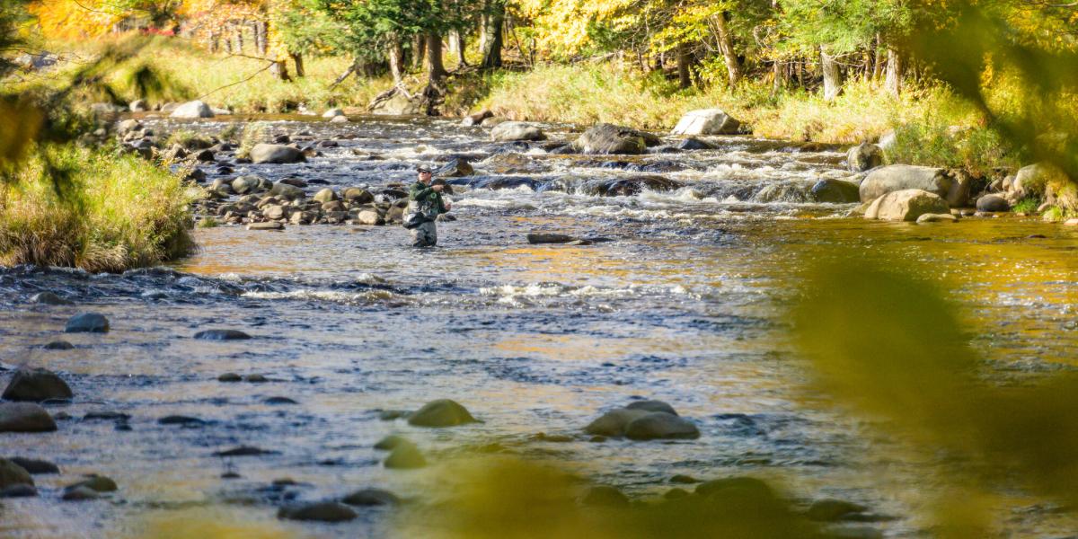 Adirondack Fly Fishing | Whiteface Region
