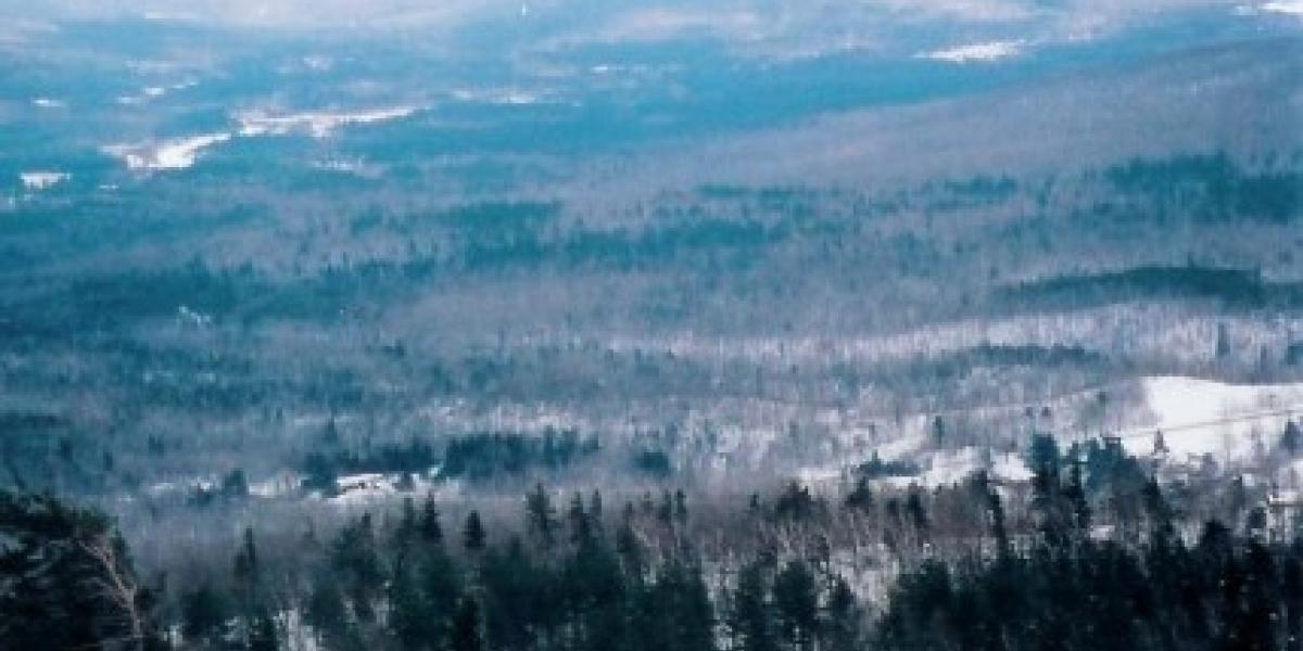 Where did that name come from? Interesting names found in the Whiteface ...