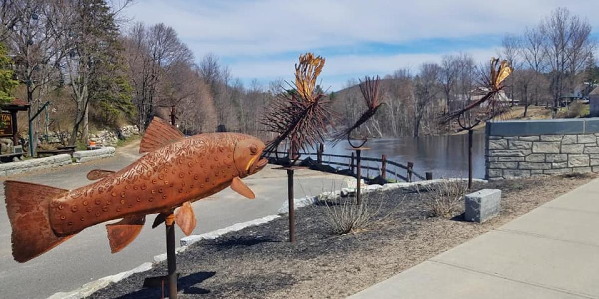 Fly Fishing Best Practices | Whiteface Region