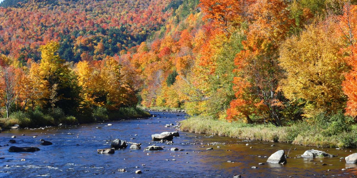 A Fall That Has It All: 3 Days in the Whiteface Region | Whiteface Region